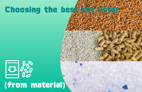 Choosing the best cat litter (from material) - FENGLE International ...