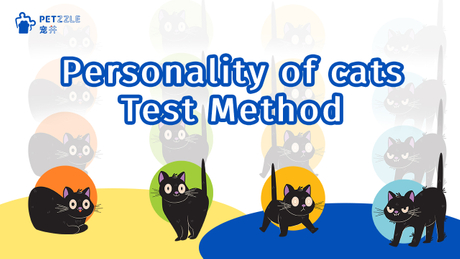 Cat personality test method - FENGLE International Trade Co., Ltd.